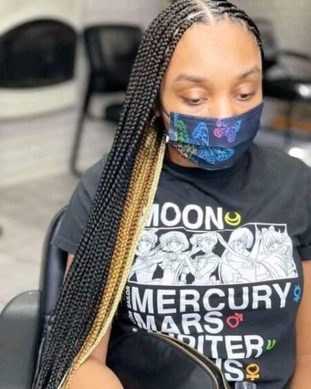 2025 Trendy Braided Hairstyles: Neat Braid Ideas to Try | STYLESCATALOG