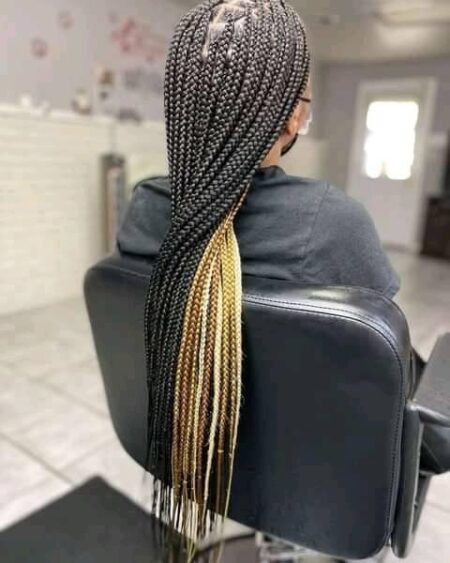 2025 Trendy Braided Hairstyles: Neat Braid Ideas to Try | STYLESCATALOG