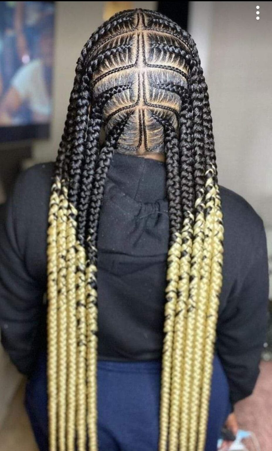 20 Cute Protective Braid Hairstyles for Natural Black Hair | STYLESCATALOG